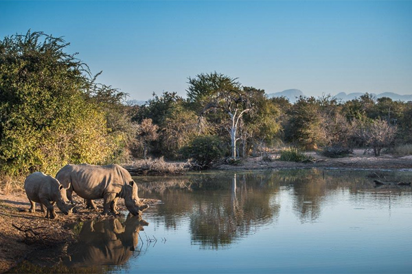 Tshukudu Bush Camp | Self-Catering and Game Lodge | Tshukudu Game ...