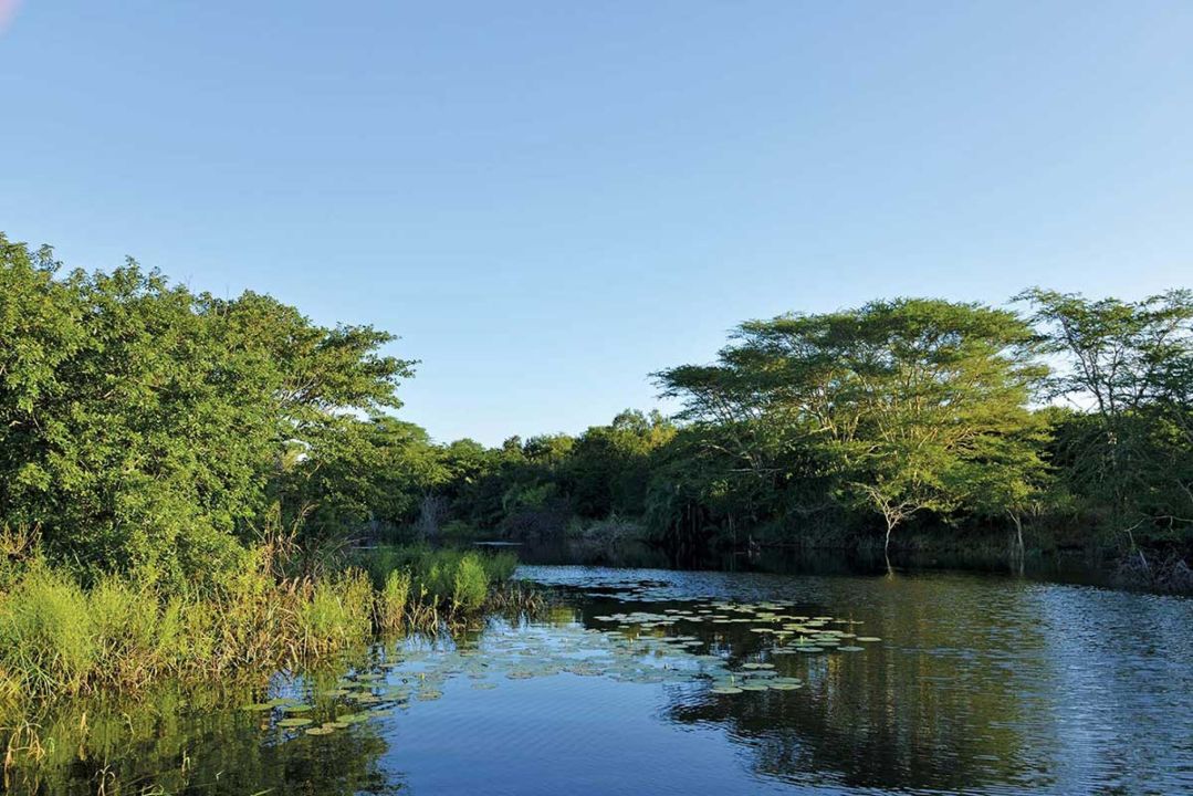 Falaza Game Park - Game Lodge - Hluhluwe