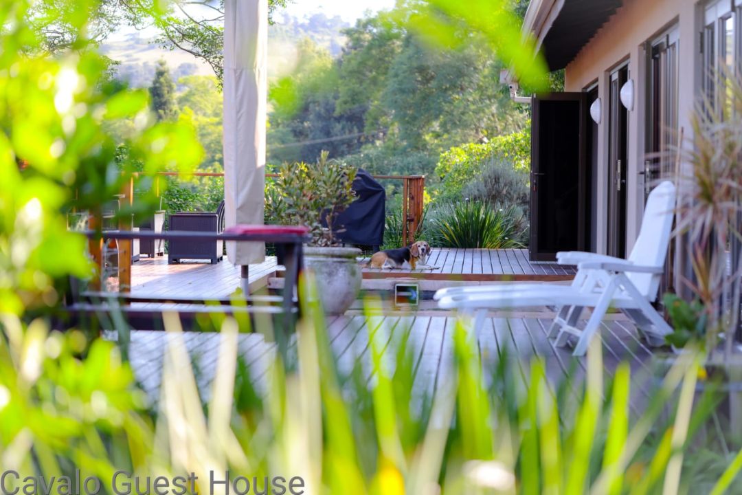 Cavalo Guesthouse - Inchanga