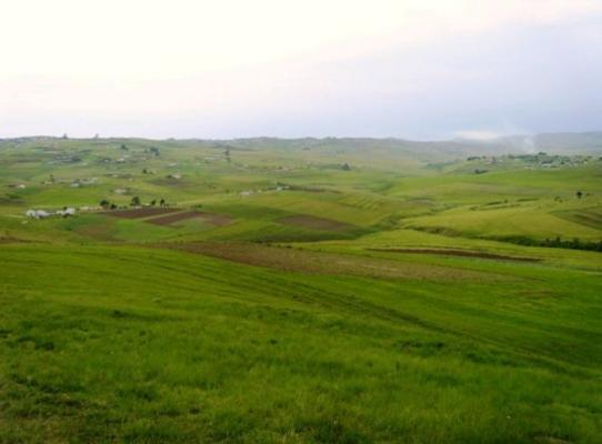 Sips B&B | Bed and Breakfast | Lusikisiki, Eastern Cape, South Africa