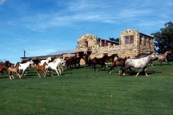 Moolmanshoek | Guest Farm | Ficksburg, Free State, South Africa