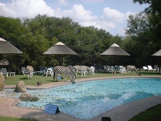Cradle Moon Lakeside Game Lodge | Game Lodge and Hotel | Muldersdrift ...