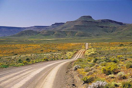 Calvinia - JungleKey.nl Wiki